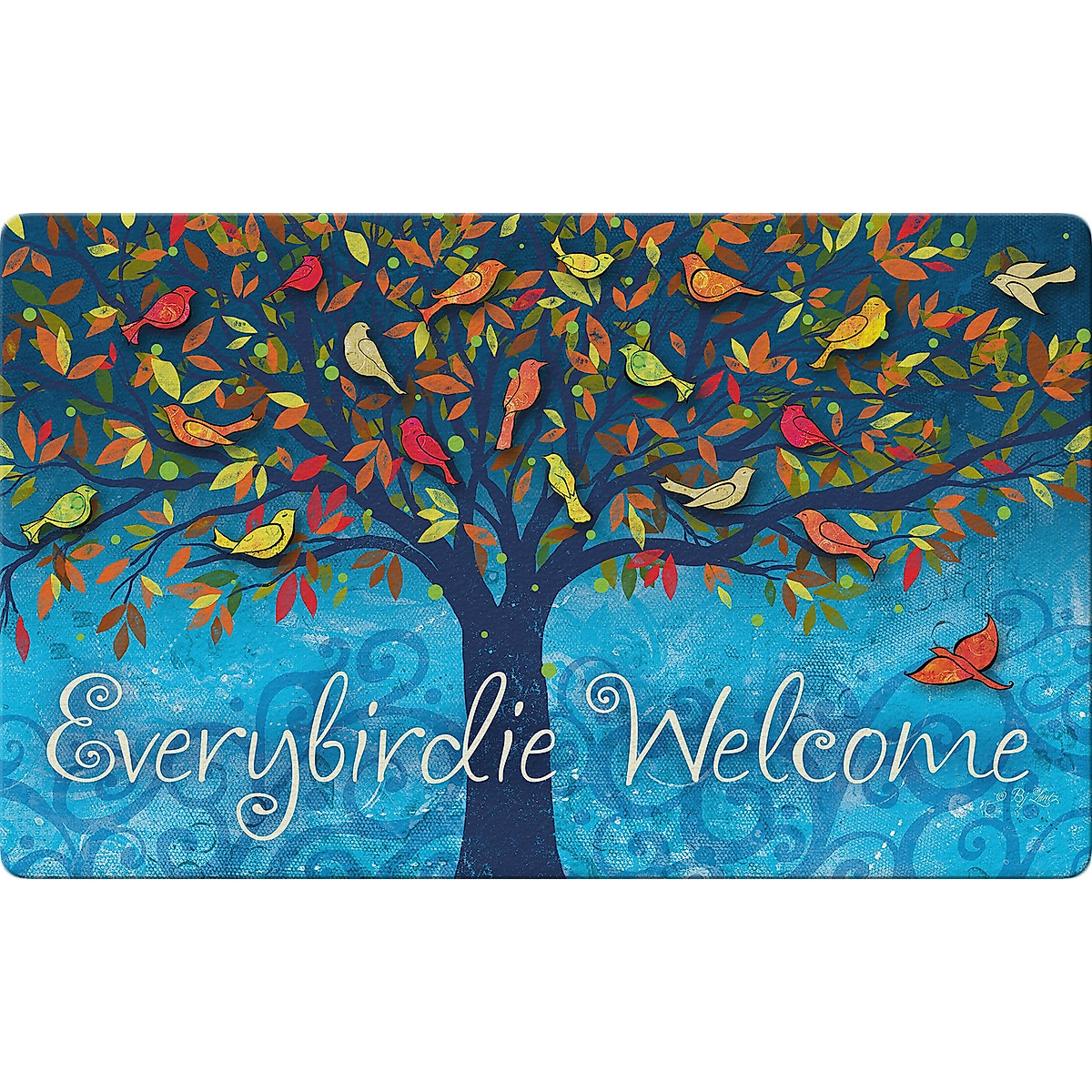 Toland Home Garden 800396 Everybirdie Welcome Spring Door Mat 18x30 Inch Bird Outdoor Doormat for Entryway Indoor Entrance