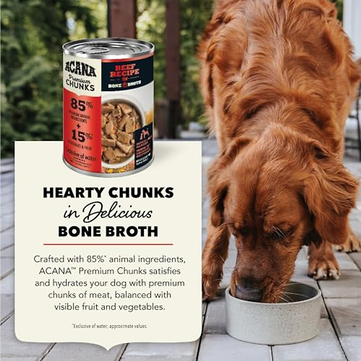 ACANA Premium Chunks Wet Dog Food, Beef Recipe in Bone Broth, 12.8oz (Case of 12)