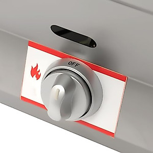 Gas Deep Fryer,12L Commercial Stainless Steel Gas Deep Fryer Food Warmer with 2 Tanks And Lids,Energy-Saving Deep Countertop Gas Fryer for Supermarkets,Hotels,Canteens,Temperature Control: 50~380 ℃