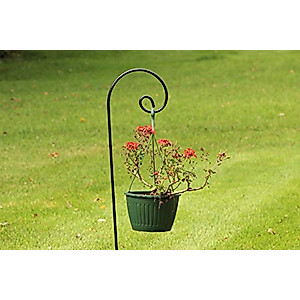 Ashman Shepherd Hook 65 Inch Curled (2 Pack), 1/2 Black Inch Diameter, Solid Metal for Hanging Plant Bird Feeders, Mason Jars, Flower Basket, Christmas Lights, Lanterns, Garden Stakes, and Weddings