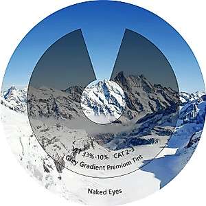 Tintart Performance Replacement Lenses Compatible with Oakley Dispatch 2 OO9150 - Grey Gradient