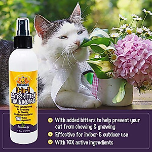 3-in-1 Cat & Kitten Training Aid with Bitter | Cat Training Spray for Indoor and Outdoor Use | Anti Scratch Furniture Protector | Establish Boundaries & Keep Cat Off | Made in The USA (8oz)