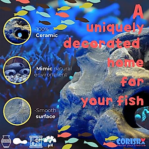 CORISRX BEST OF YOUR LIFESTYLE DR. Moss Aquarium Decorations Cichlid Stone Marine Rock Cave Decor Decorative Fish Tank Freshwater Saltwater for Small Girls Tiny Turtle Reptile