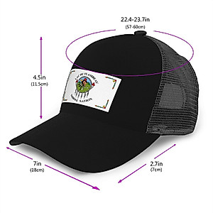 IMEEGIEN Flag of The Lac Du Flambeau Ojibwe Nation Baseball Cap for Men Women Adjustable Breathable Mesh Baseball Caps Outdoor Sports Trucker Hat Black