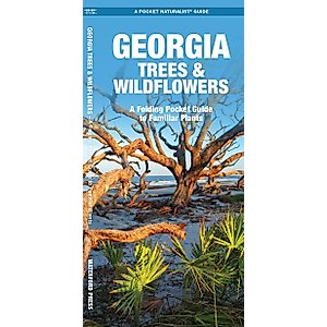 Georgia Trees & Wildflowers: A Folding Pocket Guide to Familiar Plants (Nature Observation North America)
