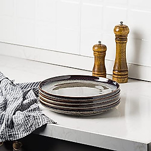 KYBSCZ Ceramic dinner plates set of 4, Large Dinnerware Plates & Salad plates for party and wedding, Microwave safe porcelain plates set, 10 Inch