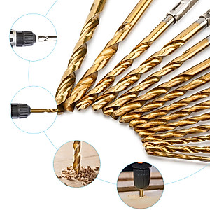 YXYL 19PCS Premium Hex Drill Bit Set, Titanium Drill Bits Set, High Speed Steel Hex Shank Drill Bits Sets, Twist Drill Bits Set, Quick Change Drill Bits for Wood, Hss Drill Bit Set 1/16"-1/4"