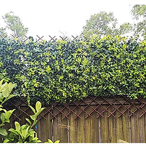 Sumery Nature Willow Trellis Expandable Plant Support Plant Climbing Lattices Trellis Willow Expandable Trellis Fence for Climbing Plants Support 36x92 Inch,Double Panel (1, Willow Wicker Fence)