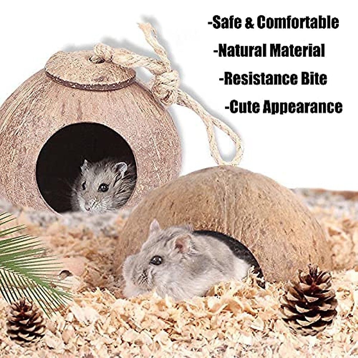 PINVNBY Coconut Hut Hamster Hiding House Hanging Coconut Shells Pet Cave Hideout Small Animal Cage Habitat Decor for Gerbils Rats Mice Dwarf Syrian Hamster Playing & Resting (6 PCS) 