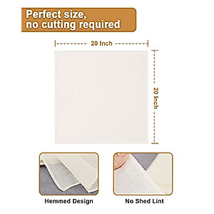 Grade 100 Hemmed Cheesecloth, 10 Pieces 100% Unbleached Cotton 20 x 20 Inches Cheese Cloths, Perfect for Straining, Filtering, Canning, Crafting, Covering and Polishing