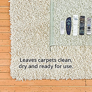 Arm & Hammer Pet Fresh Dry Carpet Cleaner, Stain and Odor Remover Powder, Absorbs Allergens and Pet + Child Safe, 18 Ounce