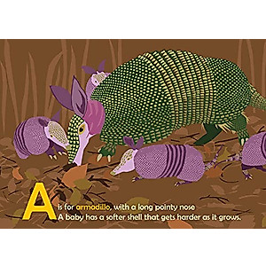 T is for Texas (Alphabet Places)