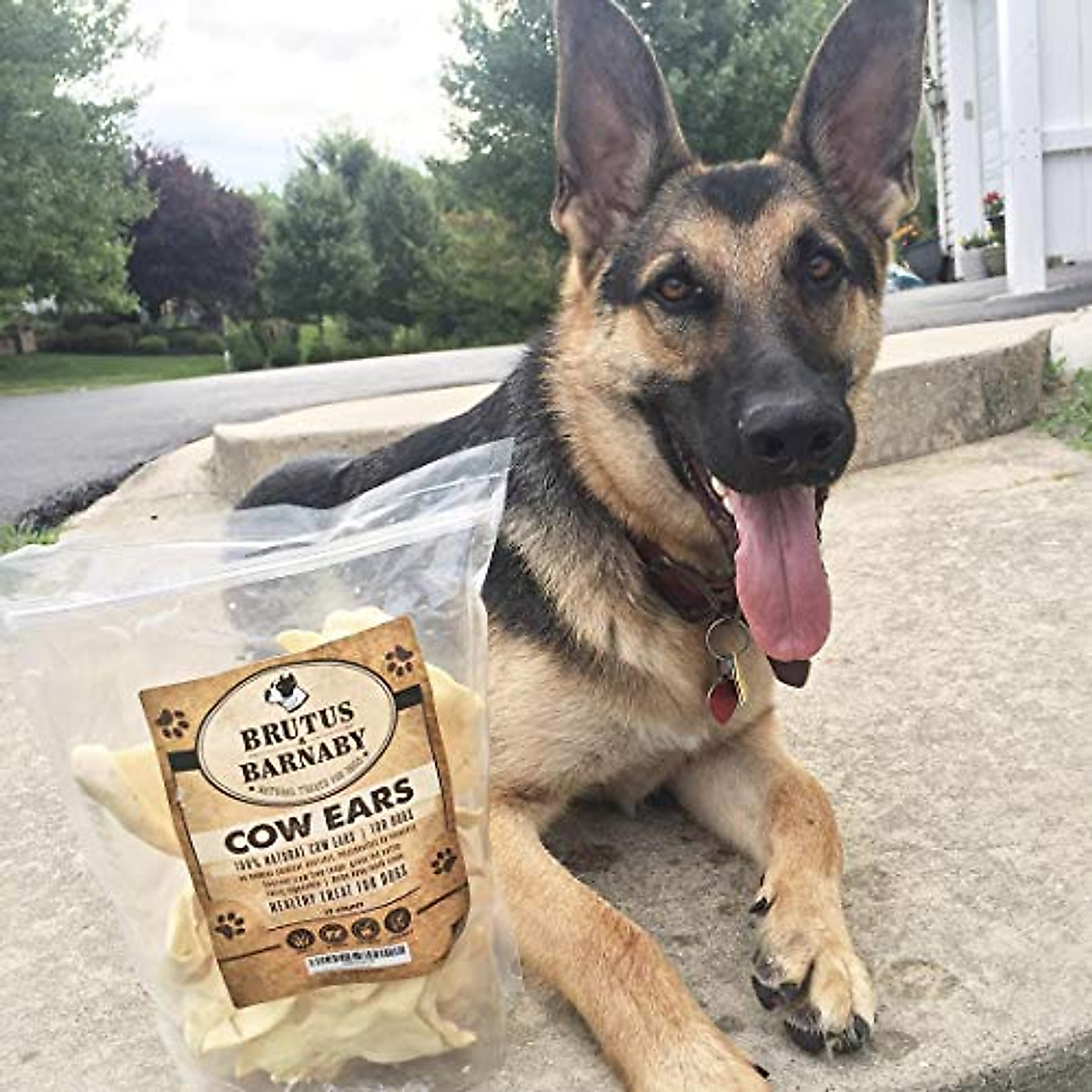 Premium Cow Ears For Dogs, Thick Cut & All-Natural Whole Ears, 100% Grass Fed Beef, No Additives Or Hormones, Safe Rawhide Alternative, Great Dog Treat Alternative To Pig Ears, Bully Sticks, Dog Bones