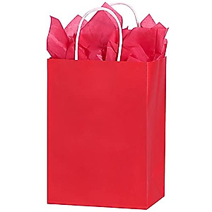 SUNCOLOR 24 Pack Red Party Favor Bags Goodie Bags for Valentine's day Party With Handle and Tissue Paper (Red)