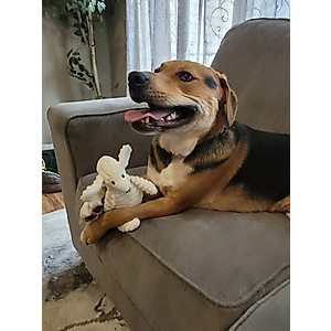 Adorable Plush and Squeaky Dog Chew Toys (3-Pack, Duck, Lamb, and Pig) - by Imbo Pets