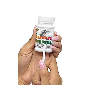 Industrial Test Systems 481104 WaterWorks pH Check