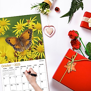 2024 2025 Wall Calendar, 18 Months July 2024 - December 2025, Wall Calendar Colorful Butterfly, 12" x 24" Opened,Full Page Months Thick & Sturdy Paper for Gift Perfect Calendar Organizing & Planning