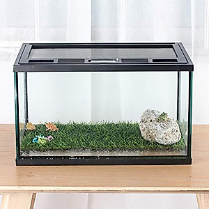 crapelles Frogs Glass Terrarium Feeding kit Tank, Waterproof,for Reptile Amphibians, Insect, Horned Frogs. Waterweed/Prairie Style Habitat,with Green Artificial Turf Pad,Natural Volcanic Rock