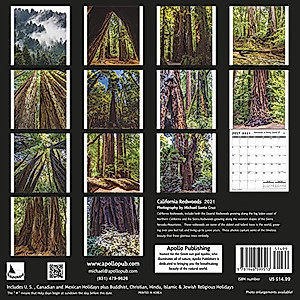California Redwoods Calendar 2021