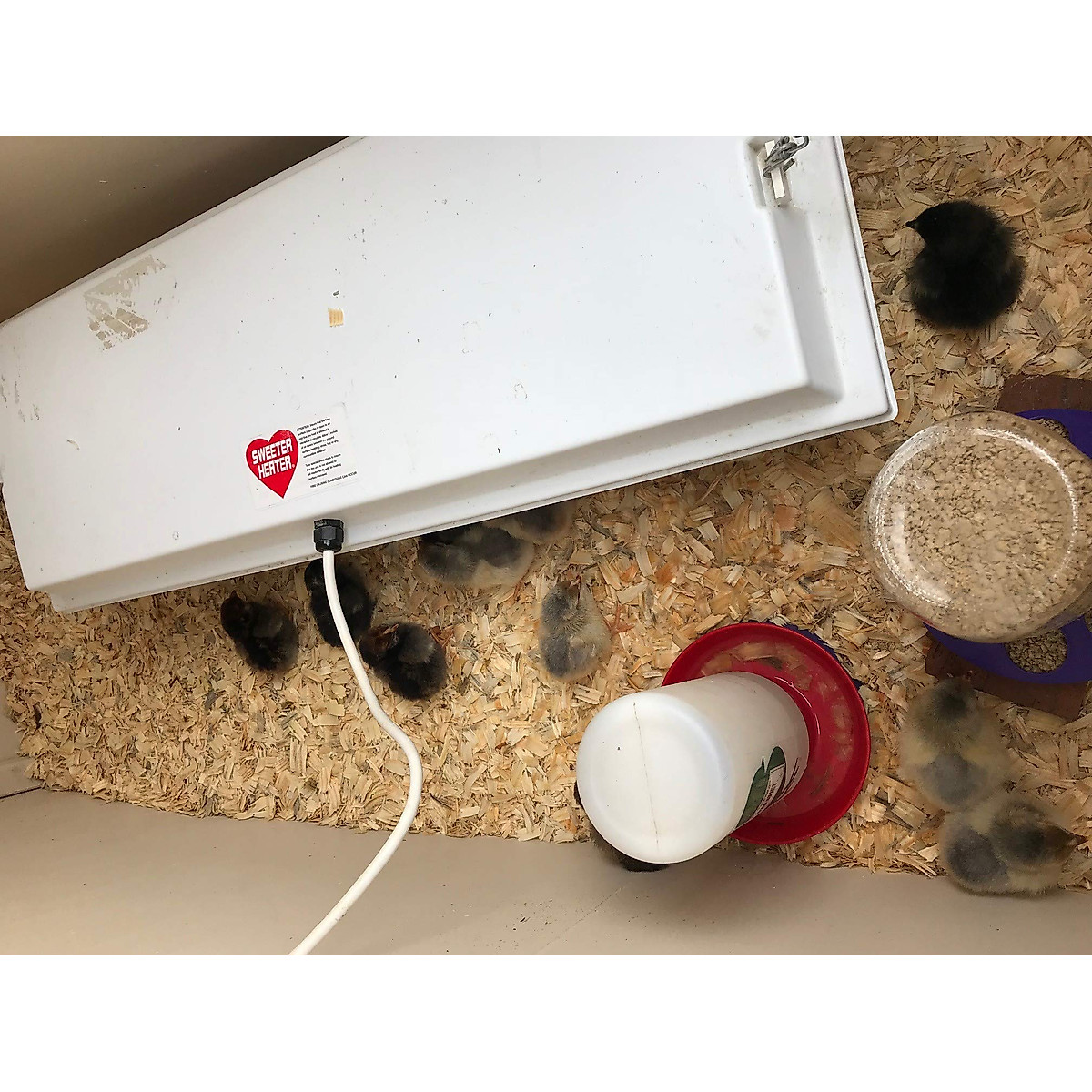 SWEETER HEATER Infrared Heater for Chicks & Pets, Flush Mount 11x40, 150 Watt