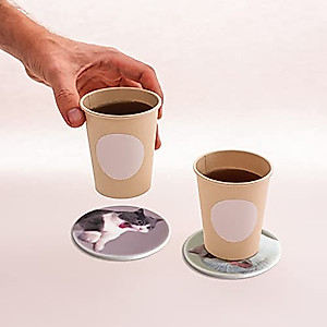 Funny Cat Coasters Pack, Set of 4 Cat Meme Drink Coaster, Non Slip Silicone Heat Insulation Cup Mats for Tabletop Protection, 4 Inches