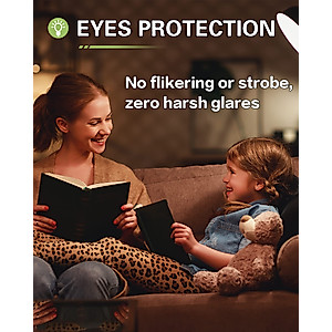 LUMILECT G16.5 LED Bulb E12 G16 1/2 Round LED Candelabra Bulb 25W Equivalent, Soft Warm White 3000K AC120V 200lm 2W G50 LED Globe Bulbs for Ceiling Fan,Chandelier,Vanity Light Bulb, 6 Pack