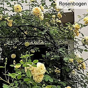 Rose Arch Garden Arbors,Garden Arch Used for Climbing Rose Plants,Wedding Arches,Metal Pergola Climbing Aid,Trellis Climbing Arch,Weatherproof,Trellis,Garden Lawns Celebratory Decoration