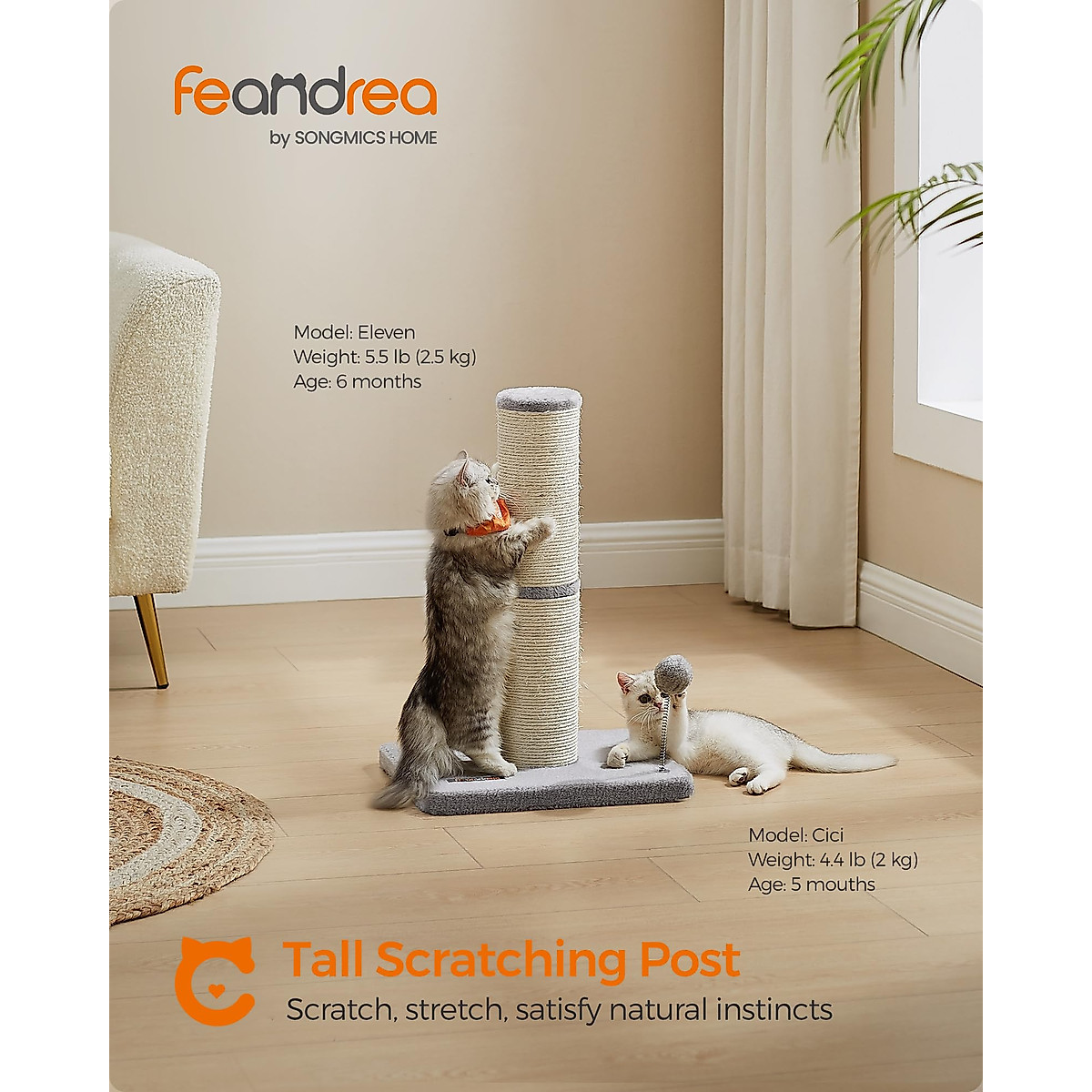 Feandrea Cat Scratching Post, 20.8-Inch Tall Cat Scratcher for Kittens, Small and Medium Cats, Sisal Scratch Pole, Spring Pompom with Built-in Bell, Dove Gray UPCA023G01