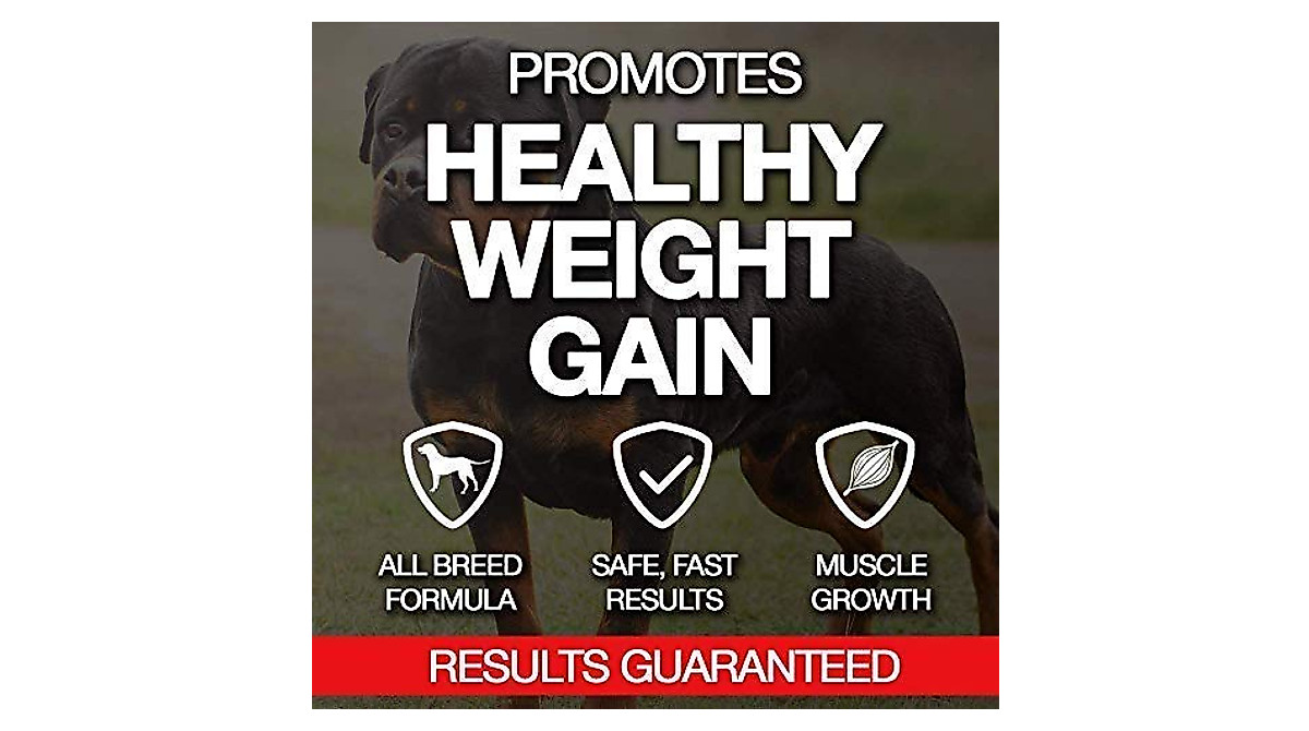 MVP K9 Mass Gainer for Dogs - Supports Healthy Weight & Muscle