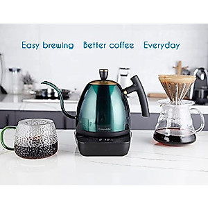 Easyworkz Electric Gooseneck Pour Over Coffee Kettle, Stainless Steel Hand Drip Tea Pot 27 Ounce Temperature Control 1200W Quick Heating