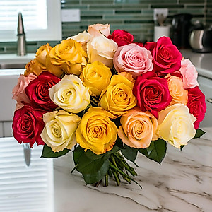 Fresh Roses- 100 Assorted Color Flowers- Lovely Gift (OM)