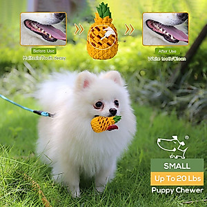 M.C.works Puppy Chew Toys, Dog Chew Toys for Average Chewer, Tough Dog Dental Chews Toy, Indestructible Dog Toys for Small Dogs, Food Grade Puppy Pet Toys