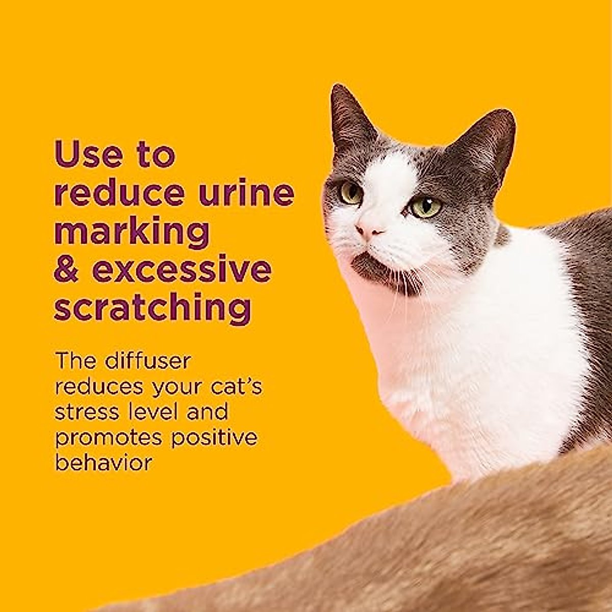 Comfort Zone Multi Cat Calming Diffuser Refills Value Kit: 6 pack; Pheromones to Reduce Cat Fighting, Spraying & Scratching