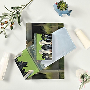 Flradish Funny Cows Towels 3 Pack Bath Towels for Bathroom Set Soft Cotton Highly Absorbent Lightweight & Quickdry Towel Set 1 Bath Towel,1 Hand Towel,1 Washclothe