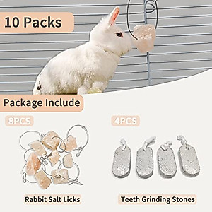 BNOSDM 12 Pack Small Animals Himalayan Salt Licks Set, 6 Rabbit Mineral Salt Blocks and 4 Hamster Teeth Grinding Stones Natural Bunny Chew Treat Toys for Rats Guinea Pigs Ferrets Chinchillas