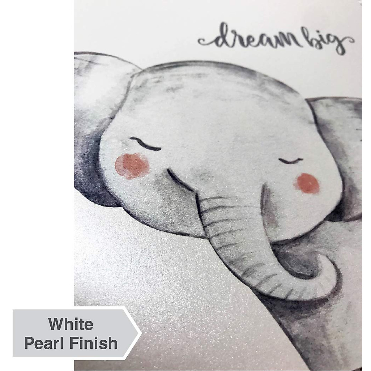 Confetti Fox Safari Animals Nursery Wall Art, Zoo Little Boy's Room, Baby Girl Toddler Kid's Decor Quotes (8x10 Unframed Set of 4 Prints)