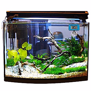 Aquarium Thermometer LCD Digital Waterproof Thermometer with Suction Cup Fish Tank Water Temperature for Fish Like Betta