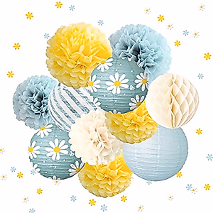 NICROLANDEE 12Pcs Yellow Blue Daisy Paper Lanterns Tissue Pom Poms Table Confetti 50G for Daisy Party, Boho First Birthday, Garden Party, Wedding, Baby Shower, Bridal Shower, Easter Decor