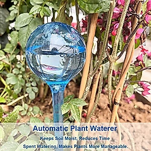 Plant Watering Globes, 10pcs Plastic Plant Automatic Water Bulbs Flower Self Feeder Balls Irrigation Device Auto Waterer Planter Insert Stakes for Indoor Outdoor Garden Potted While Away on Vacation