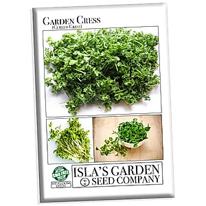 Curled Cress Seeds for Planting, aka "Garden Cress", 500+ Heirloom Seeds Per Packet, (Isla's Garden Seeds), Non GMO Seeds, Botanical Name: Lepidium sativum, Great Home Herb Garden Gift
