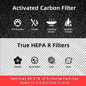 HPA300 HEPA Filter Replacement for Honeywell Air Purifier 6 HEPA R Filters and 8 Pre-cut A Carbon Pre-filter
