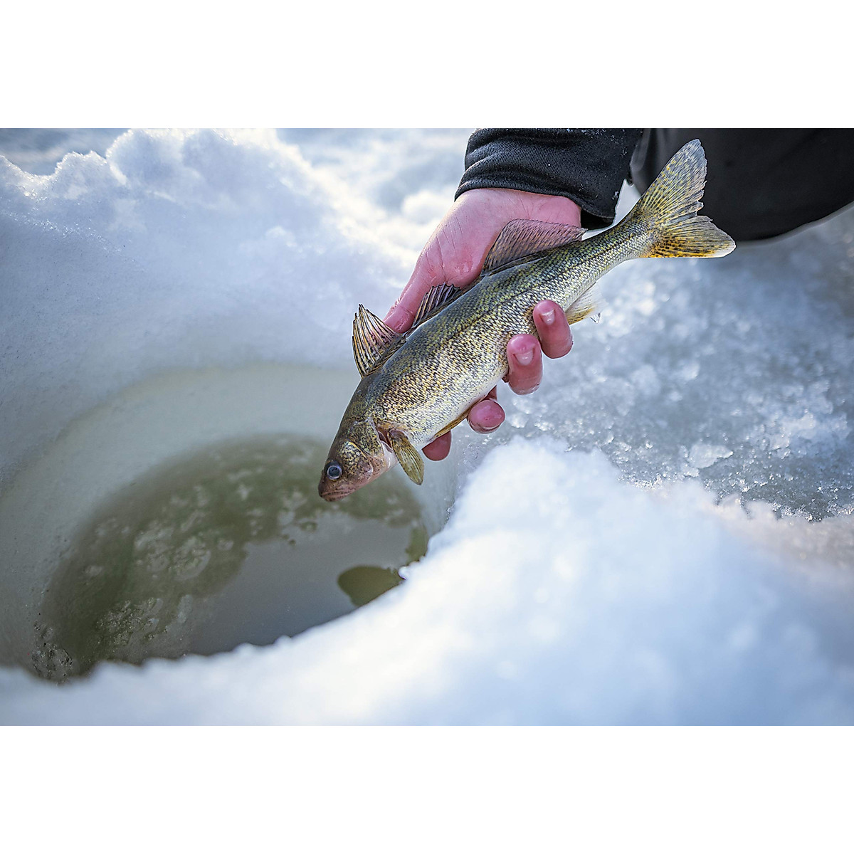 Fenwick World Class Ice Fishing Spinning Rod