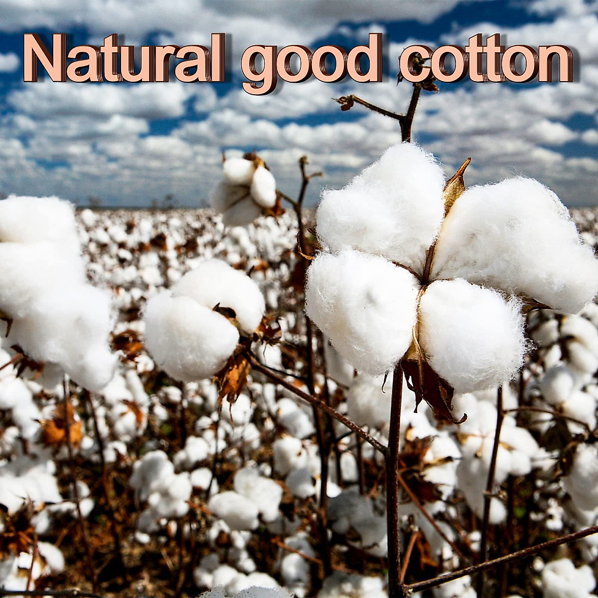 YADADA 500 Count Organic Cotton Swabs - Biodegradable Bamboo Sticks, Natural Cotton Buds with Pointed and Rounded Tips for Ear Cleaning