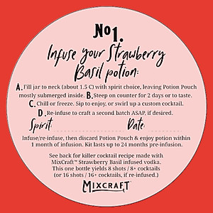 MixCraft Spirit Infusion Kit - Premium Craft Cocktail & Mocktail Mixer, Glass Bottle, Collapsible Funnel, Flavor Pouch & Recipe, Strawberry Basil