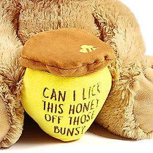 BenBen Teddy Bear for Girlfriend, 10 inch Teddy Bear Stuffed Animal with Honey Pot, Funny Plush Bear Toy Gift for Her, Women, Wife on Christmas Valentine's Day Anniversary