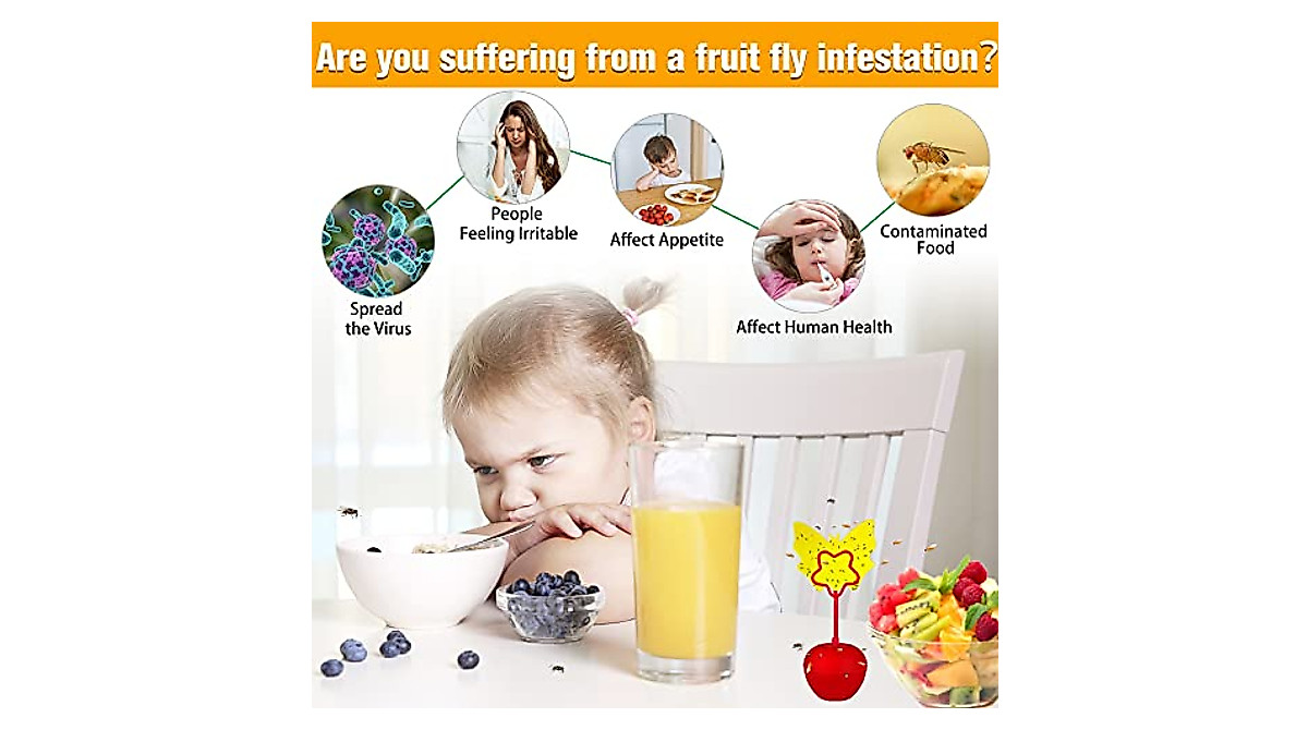 FGALL Fruit Fly Traps: Effective Gnat Killers Indoor/Outdoor