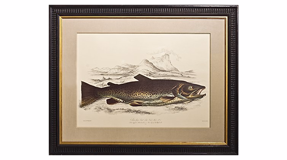 Salmo Ferox: Great Lake Trout by Sir William Jardine