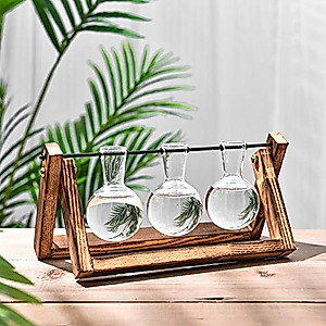 Kingbuy Plant Propagation Stations Terrarium Glass Desktop Planter with Retro Wooden Stand 3 Bulb Vases for Hydroponics Indoor Office Desk Home Decor, Plant Holder Lover Gifts for Women