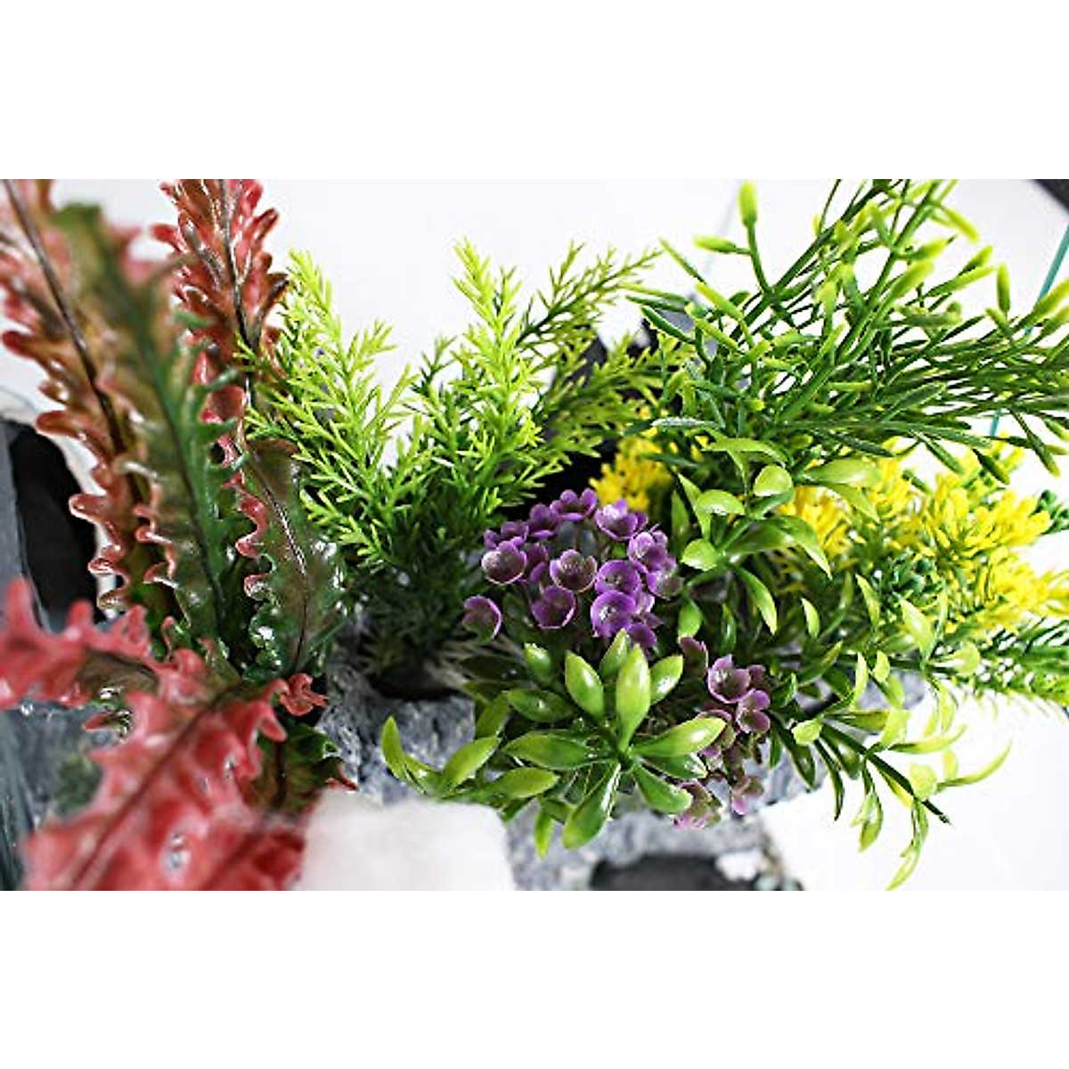 PENN-PLAX AquaTerrium Planting Tank – Hydroponic Aquarium with Integrated Filter System for Live Plants and Fish – 1.85 Gallons