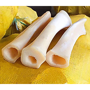 Vencetmat 6Pcs Unbleached Blank & Uncut Guitar Nut Pure Bone for Electric & Acoustic & Classical & Cigar Guitar, Mandolin, Banjo, Ukulele Part DIY